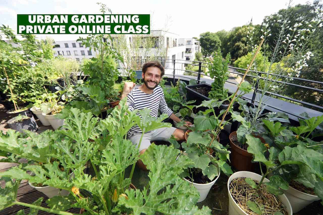 The Frenchie Gardener - Urban Gardening, Permaculture & Organic Food
